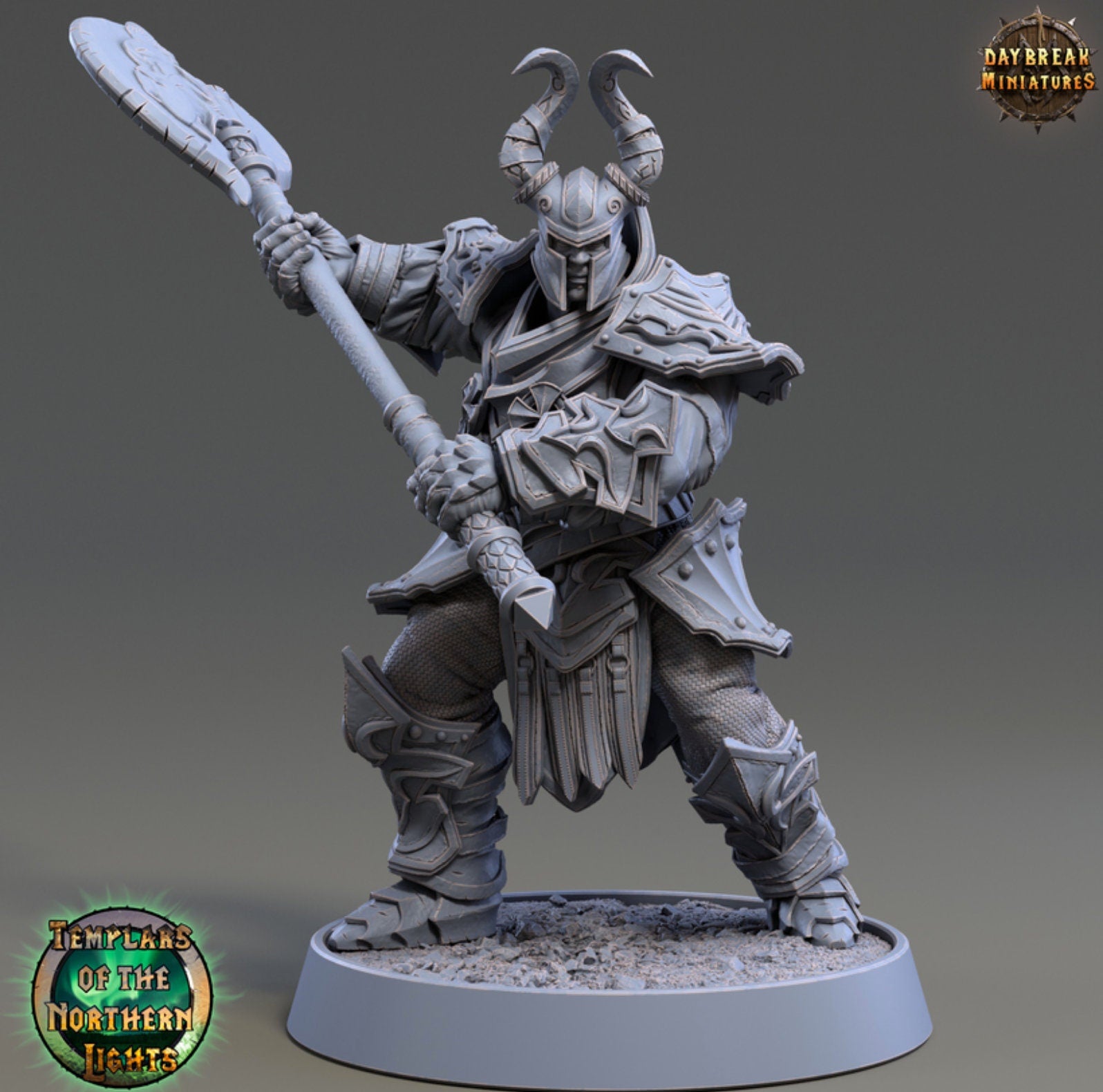 Bertil Draperinn - Human Paladin - Templars of the Northern Lights ...